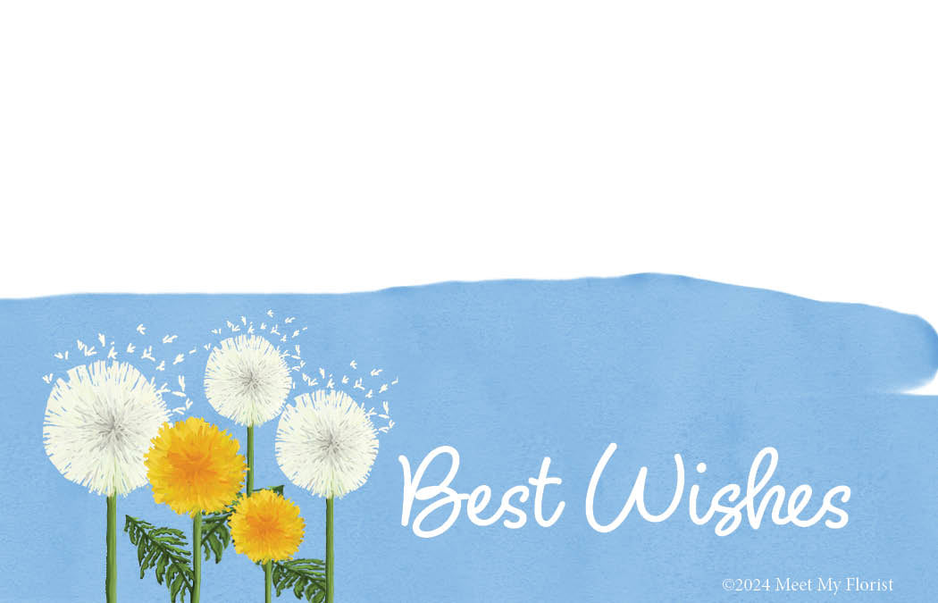 Best Wishes - Dandelions – Meet My Florist